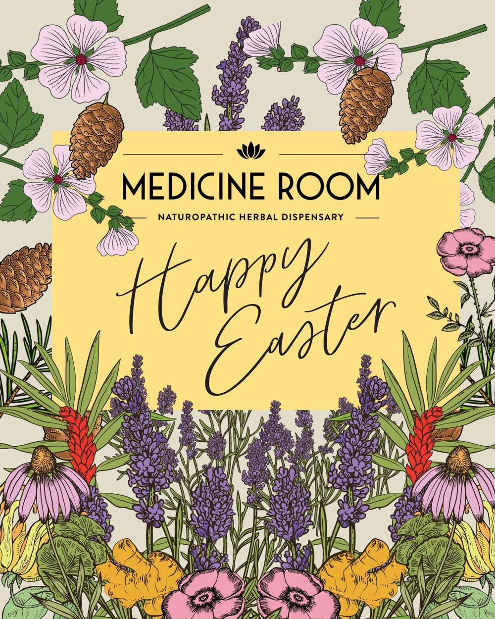 Medicine Room - Herbal Wisdom for wellness beauty and joy.